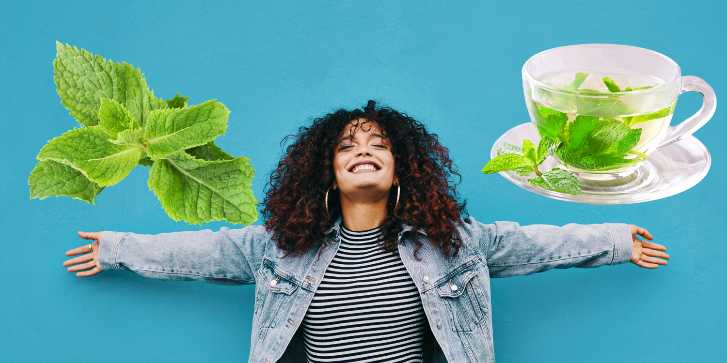 Peppermint - 5 Top Benefits and All the Goodness – The Amazing Tea Company